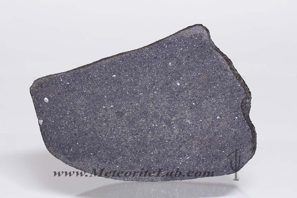NWA 509 - Full Meteorite Slice | Southwest Meteorite Laboratory