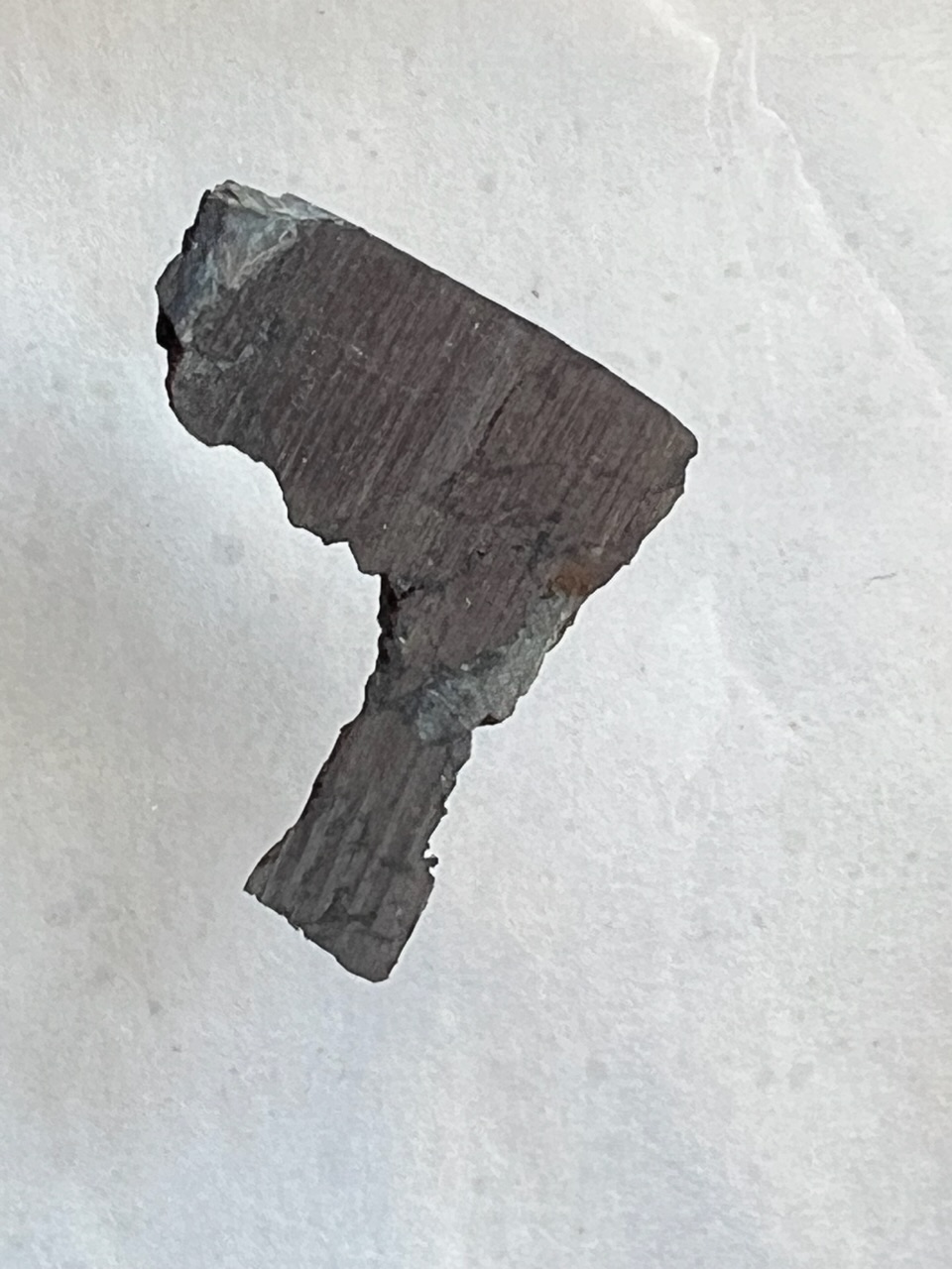Bencubbin CBa | Southwest Meteorite Laboratory
