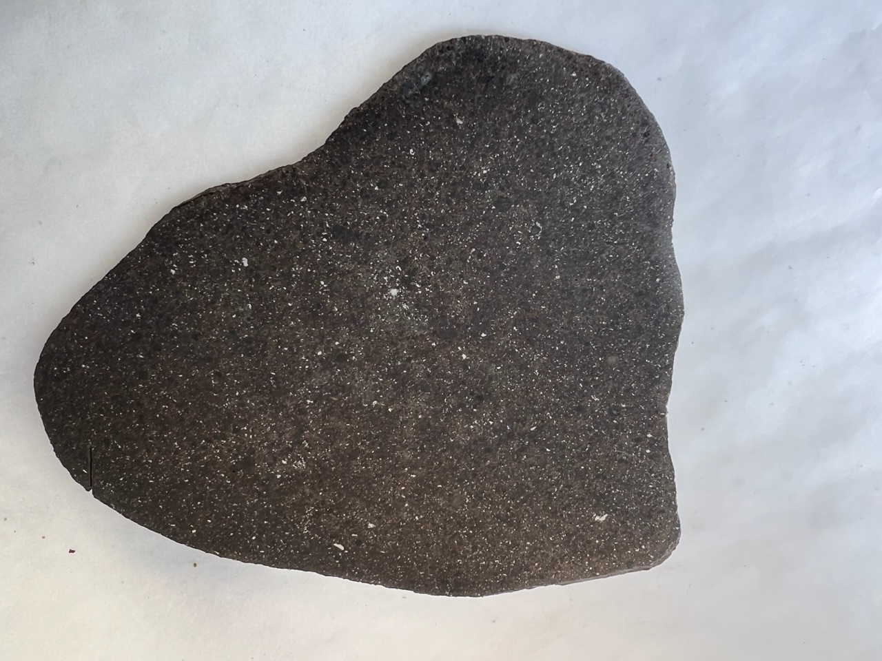 NWA 509 L5 | Southwest Meteorite Laboratory