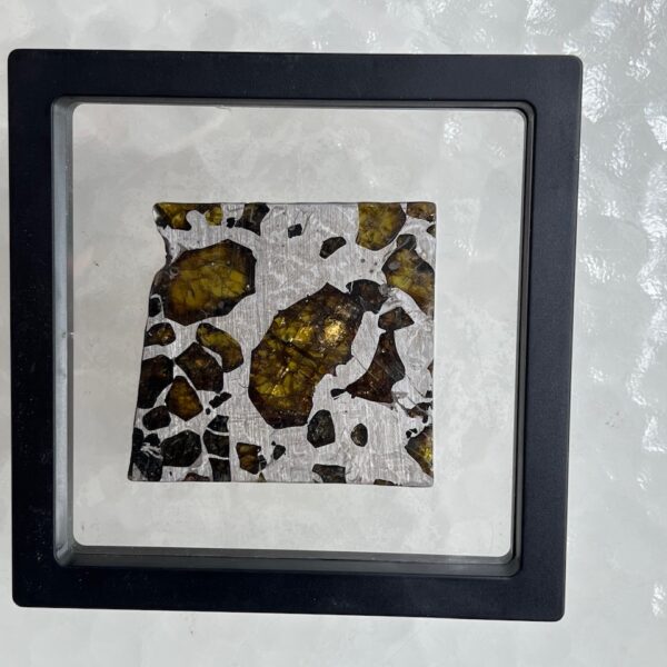 Fukang Meteorite Slice | Southwest Meteorite Laboratory