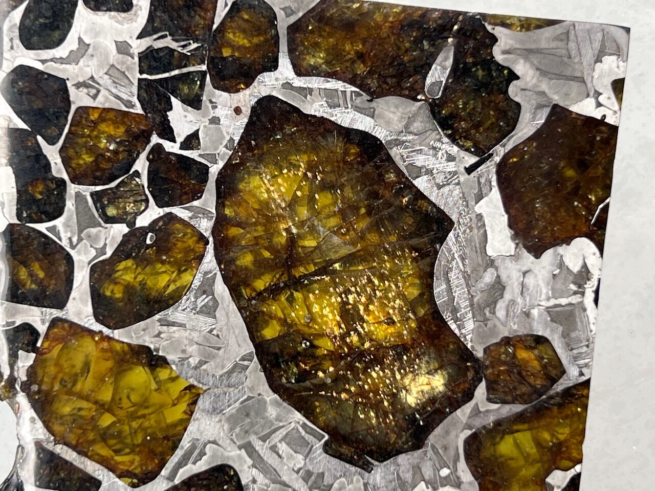 Fukang Meteorite Slice | Southwest Meteorite Laboratory