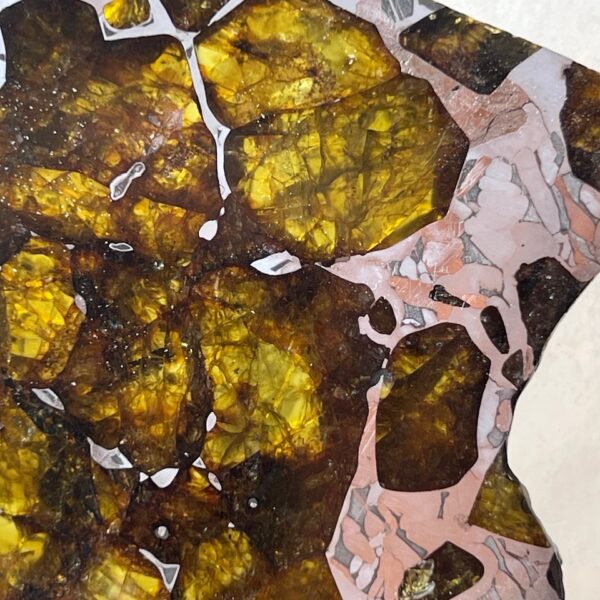 Fukang Pallasite Slice | Southwest Meteorite Laboratory