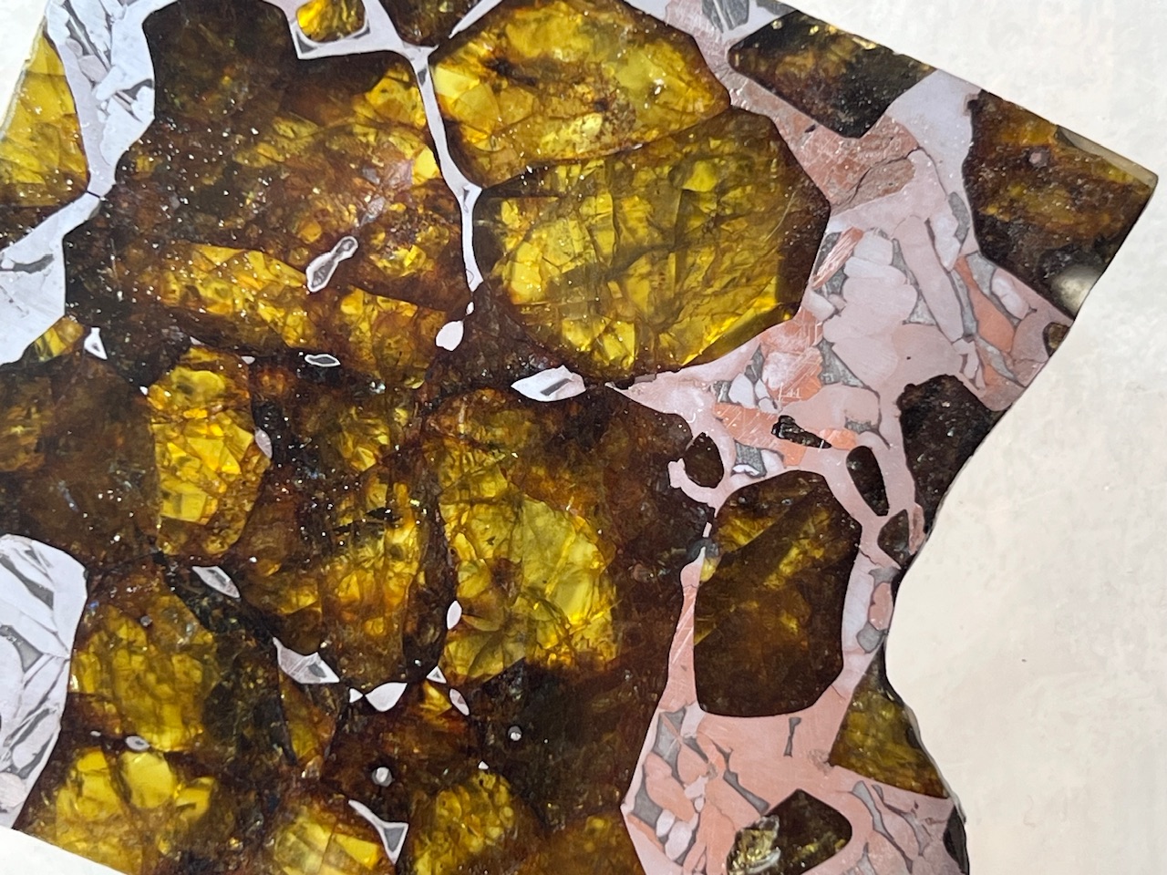 Fukang Pallasite Slice | Southwest Meteorite Laboratory